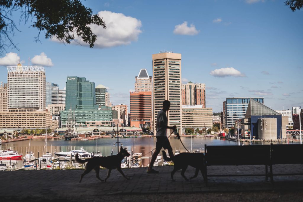 History of Federal Hill | Federal Hill Main Street